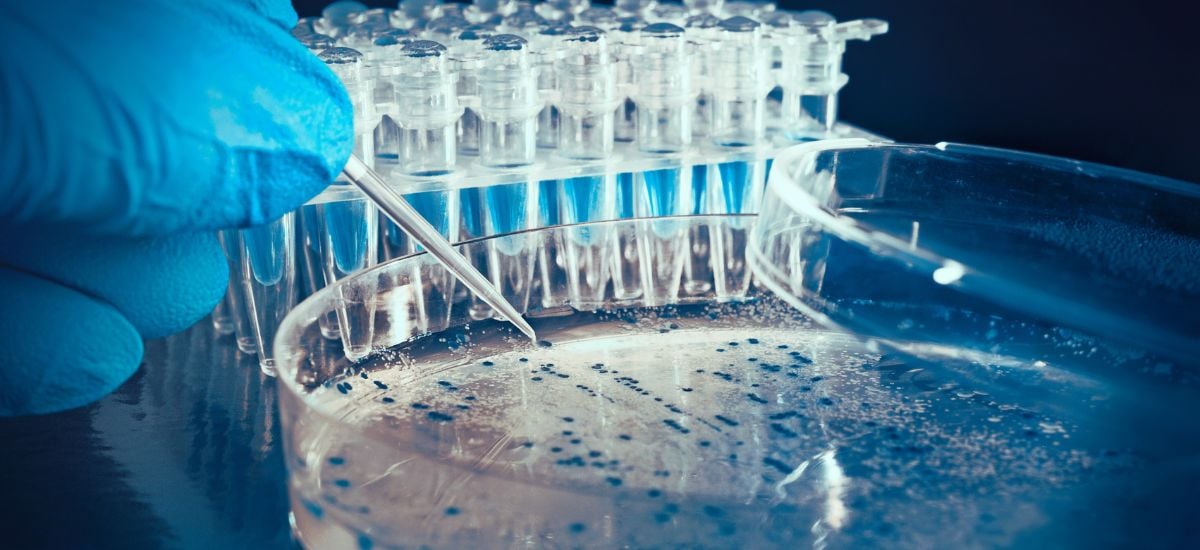 PURELAB Chorus : améliorer la pureté de l'eau dans les laboratoires ...